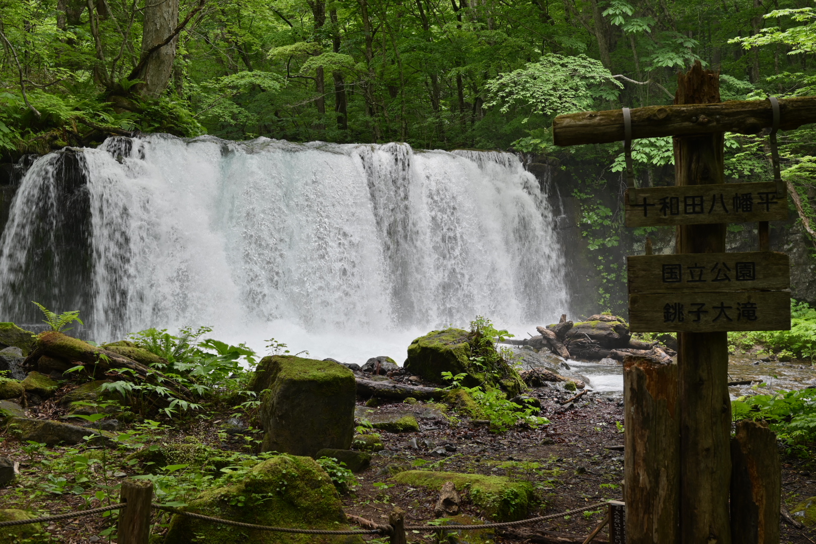 51日目 - Zで日本を巡る旅